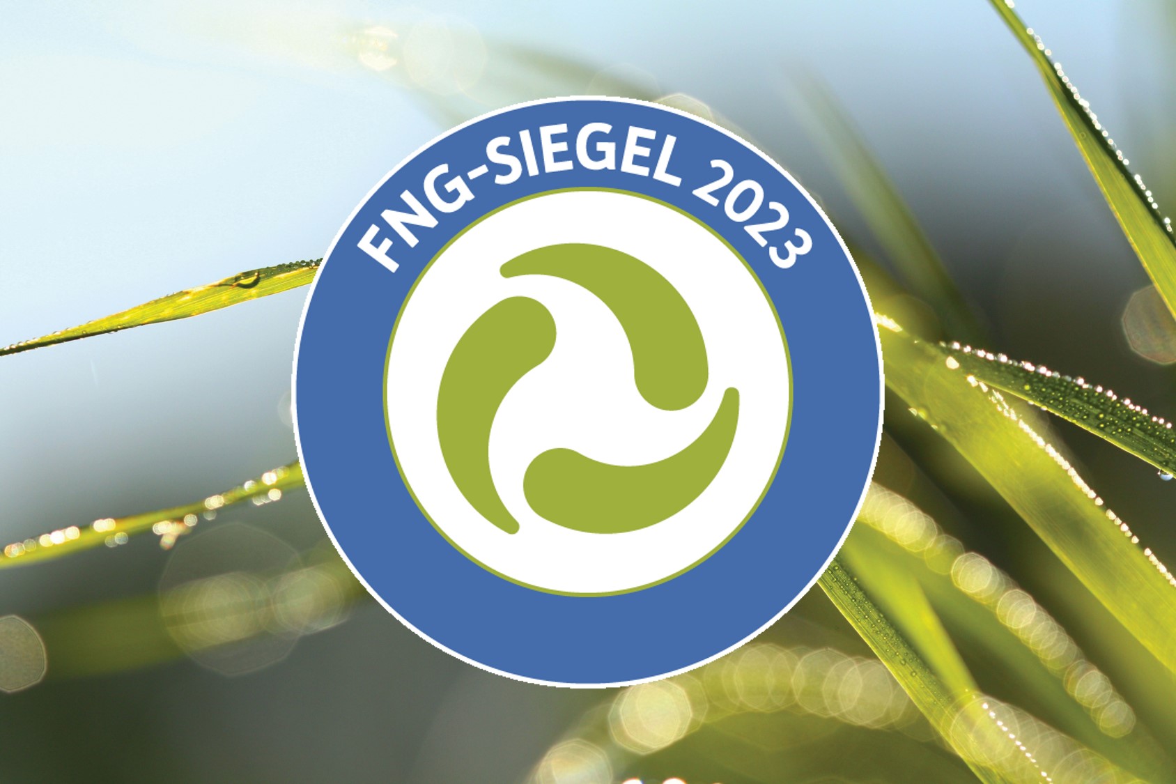 Bewerbung – FNG-Siegel