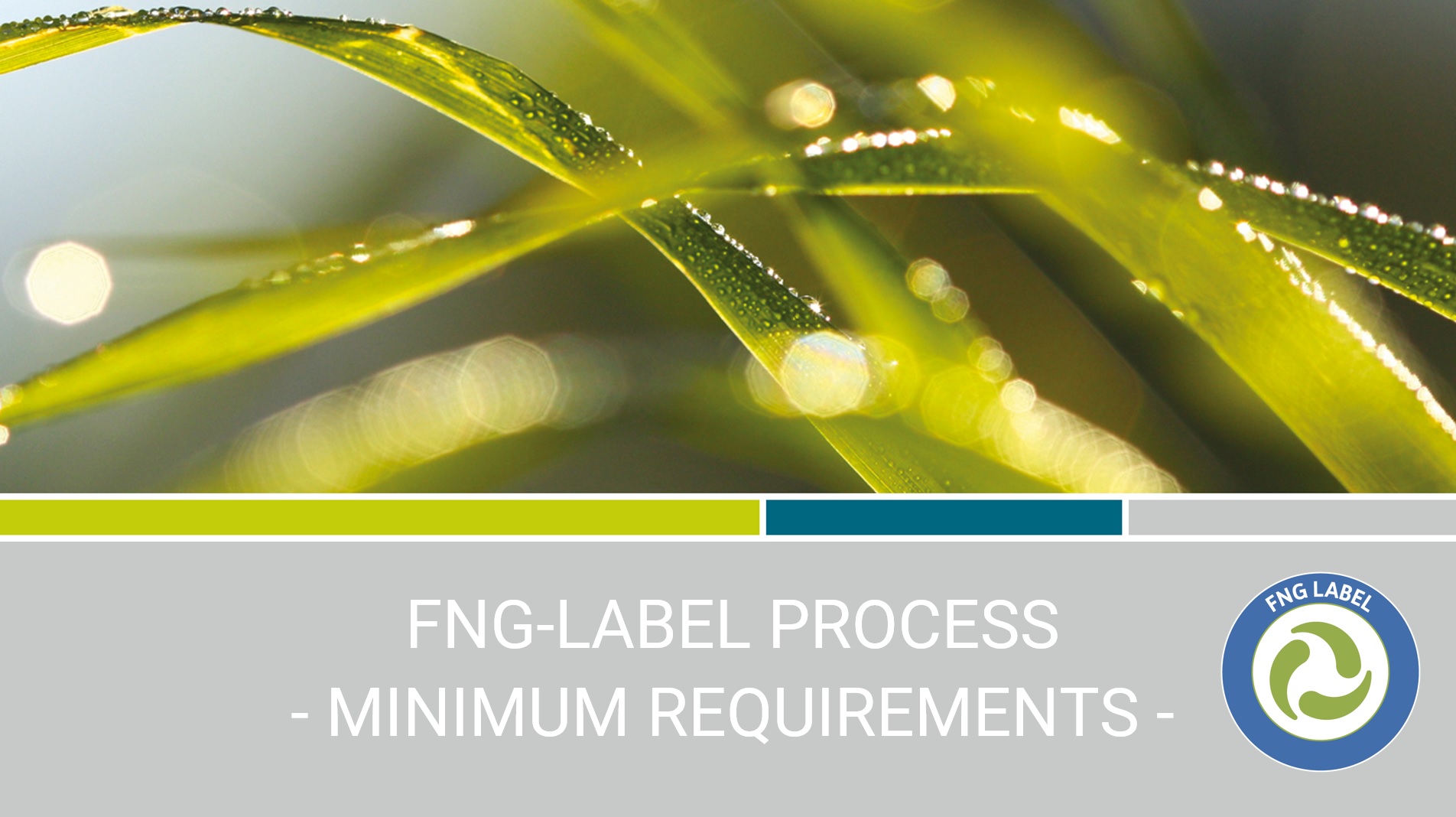 Application – FNG-Siegel